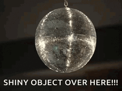 Disco Ball Shiny Object Over Here GIF | GIFDB.com