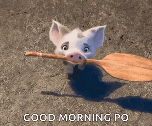Disney Good Morning Pua The Pig GIF | GIFDB.com