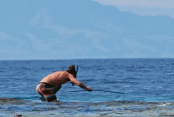 Diving Spear Fishing GIF | GIFDB.com