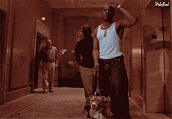 Dmx Hip Hop Rapper Holding Dog GIF | GIFDB.com