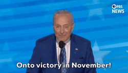 Dnc Senator Chuck Schumer GIF | GIFDB.com