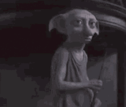 Dobby Yes Master GIF | GIFDB.com