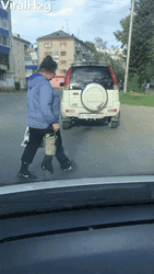Dog And Owner Walking On The Street GIF | GIFDB.com