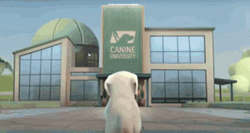 Dog Animation Left Out GIF | GIFDB.com