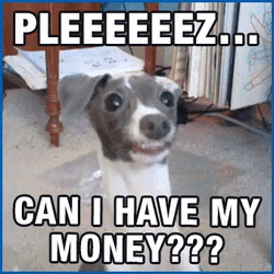Dog Asking Money Pay Me GIF | GIFDB.com