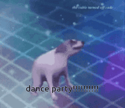 Dog Dance Party Meme GIF | GIFDB.com
