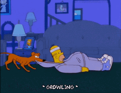 Dog Dragging Homer Simpson GIF | GIFDB.com