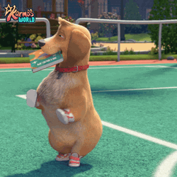 Dog Holding Book Dancing GIF | GIFDB.com