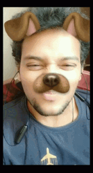 Dog Man Camera Filter GIF | GIFDB.com