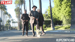 Dog Walking With The Owner GIF | GIFDB.com