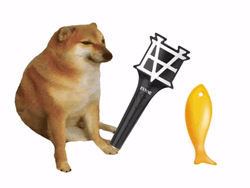 Doge Bonk The Fish Cartoon GIF | GIFDB.com