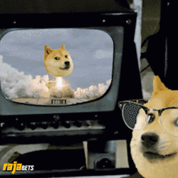 Doge In Suit GIF | GIFDB.com