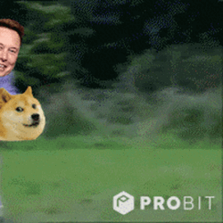 Doge Playing Fetch GIF | GIFDB.com