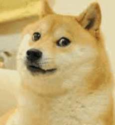 Doge Thumbs Up GIF | GIFDB.com