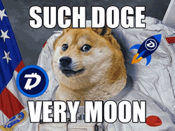 Doge Wearing Space Suit GIF | GIFDB.com