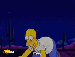 Doh Homer Simpson Catching Turtle GIF | GIFDB.com