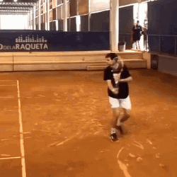 Dominic Thiem Smashing Using Backhand GIF | GIFDB.com