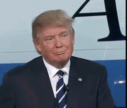 Donald Trump 362 X 308 Gif GIF | GIFDB.com