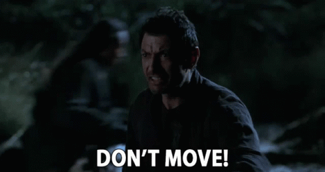 Dont Move Jeff Goldblum Jurassic Park GIF | GIFDB.com