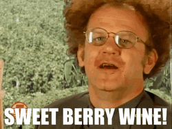 Dr. Steve Brule Sweet Berry Wine GIF | GIFDB.com