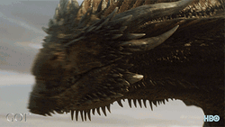 Dragon GIFs | GIFDB.com