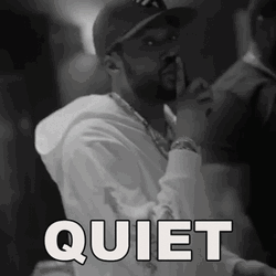 Drake Saying Quiet GIF | GIFDB.com