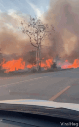 Driving By Scorching Road Wildfire GIF | GIFDB.com