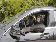 Driving GIFs | GIFDB.com