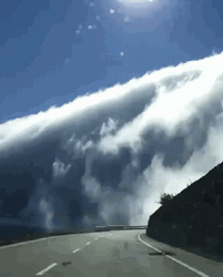Driving Through A Foggy Mountain GIF | GIFDB.com