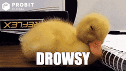 Drowsy Little Cute Duck GIF | GIFDB.com