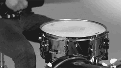 Drum Roll Cute Cat GIF | GIFDB.com