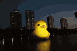Ducky City Dark Night GIF | GIFDB.com