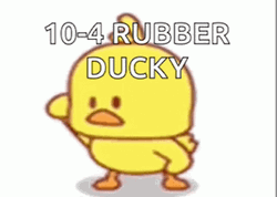 Ducky Rubber Looking Sight Seeing GIF | GIFDB.com