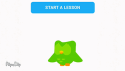 Duolingo Meme Start A Lesson GIF | GIFDB.com
