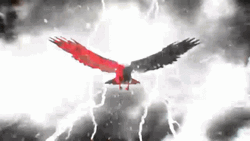 Eagle Gif GIFs | GIFDB.com