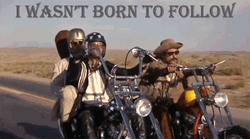 Easy Rider GIFs | GIFDB.com