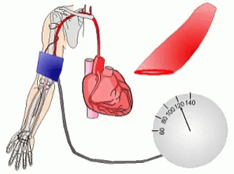 Educational High Blood Pressure Mechanism GIF | GIFDB.com