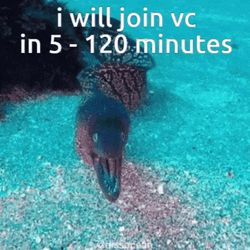 Eel I Will Join Vc GIF | GIFDB.com