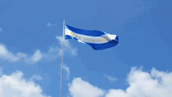 El Salvador Long Flag GIF | GIFDB.com