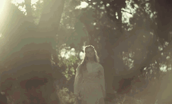Elle Fanning Sofia Coppola The Beguiled GIF | GIFDB.com