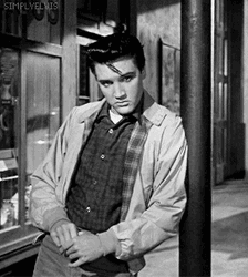 Elvis Presley Acting Mad Scene Snippet GIF | GIFDB.com