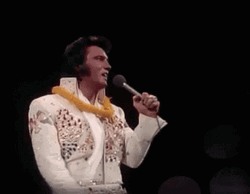 Elvis Presley Thank You Very Much American Singer GIF | GIFDB.com