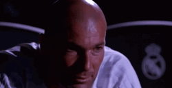 Emotional Zinedine Zidane GIF | GIFDB.com