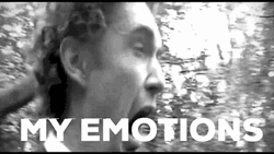 Emotions GIFs | GIFDB.com