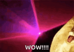 Enjoying Party Dancing Cat Meme GIF | GIFDB.com