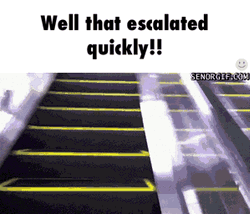 Escalator Moment Well That Escalated Quickly GIF | GIFDB.com