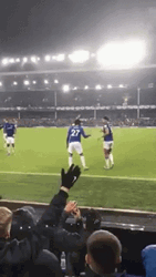 Everton Fc Logo GIF | GIFDB.com