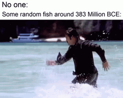 Evolution Of Some Random Fish GIF | GIFDB.com