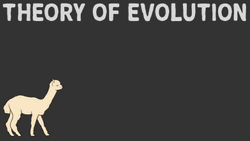 Evolution Of The Two Legged Alpaca GIF | GIFDB.com