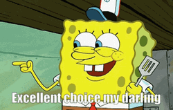 Excellent Choice Spongebob GIF | GIFDB.com